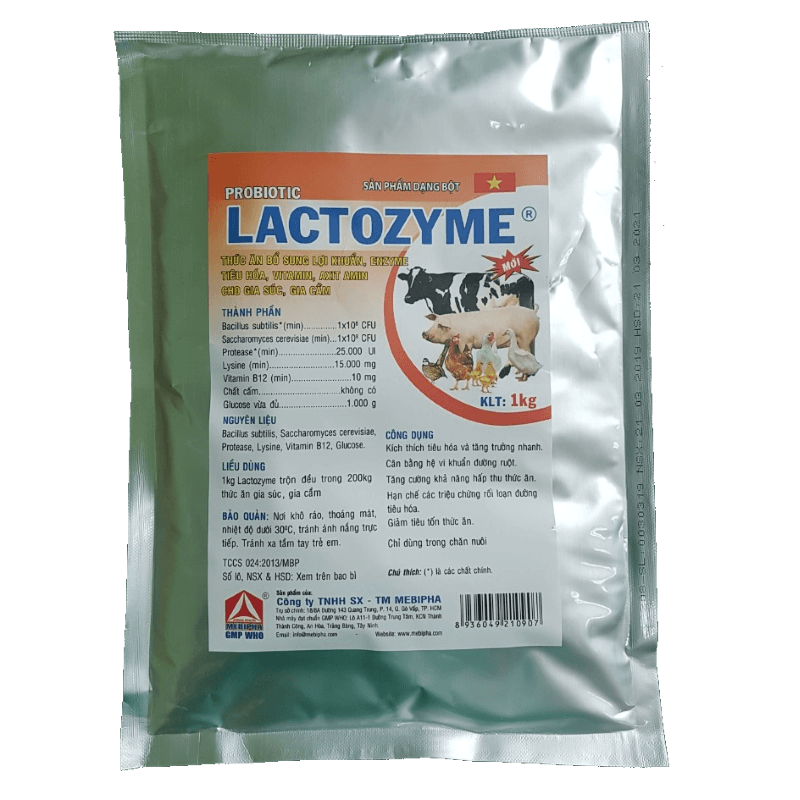 LACTOZYME | Mebipha Online