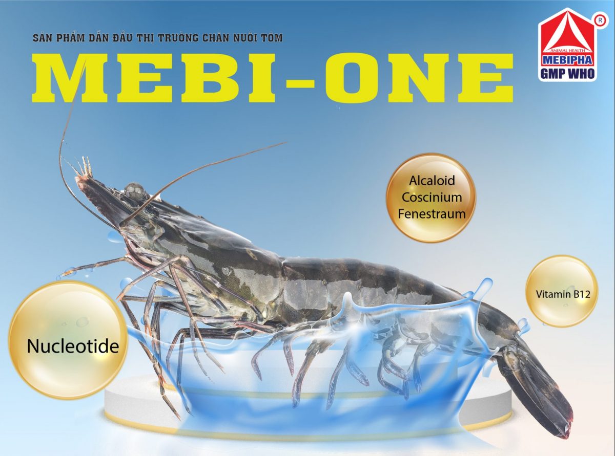 Bệnh E.Coli - Thuốc thú y và Thủy sản Mebipha
